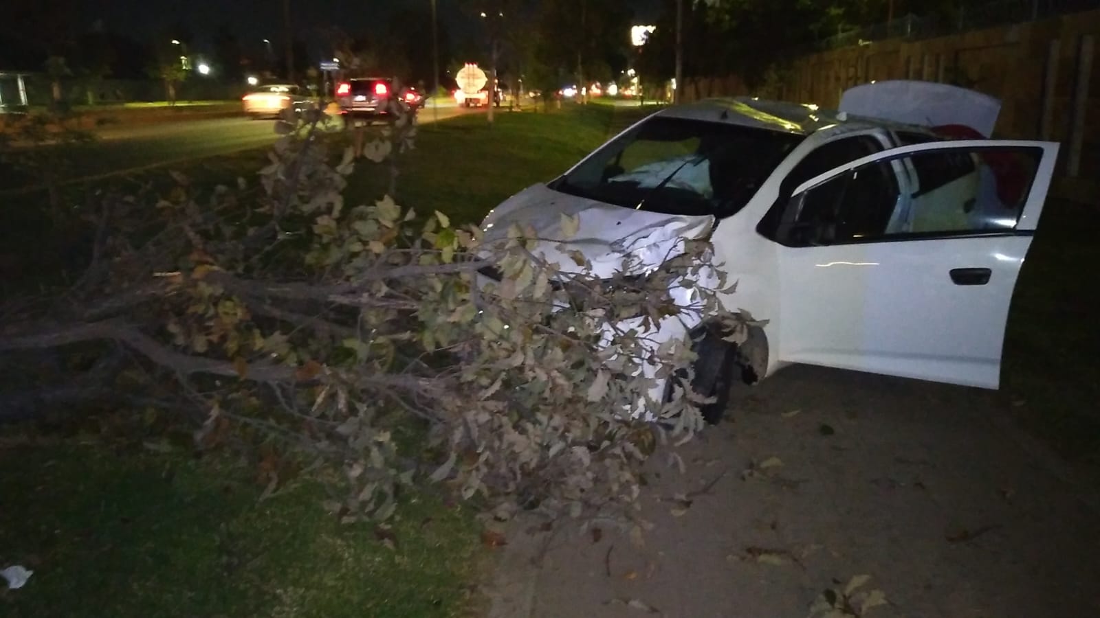 Sale del camino y se impacta contra un árbol - Noticias de Querétaro