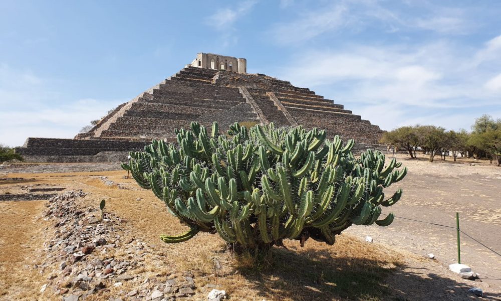 Itzpapálotl diosa Chichimeca la mariposa alas de obsidiana - Noticias ...