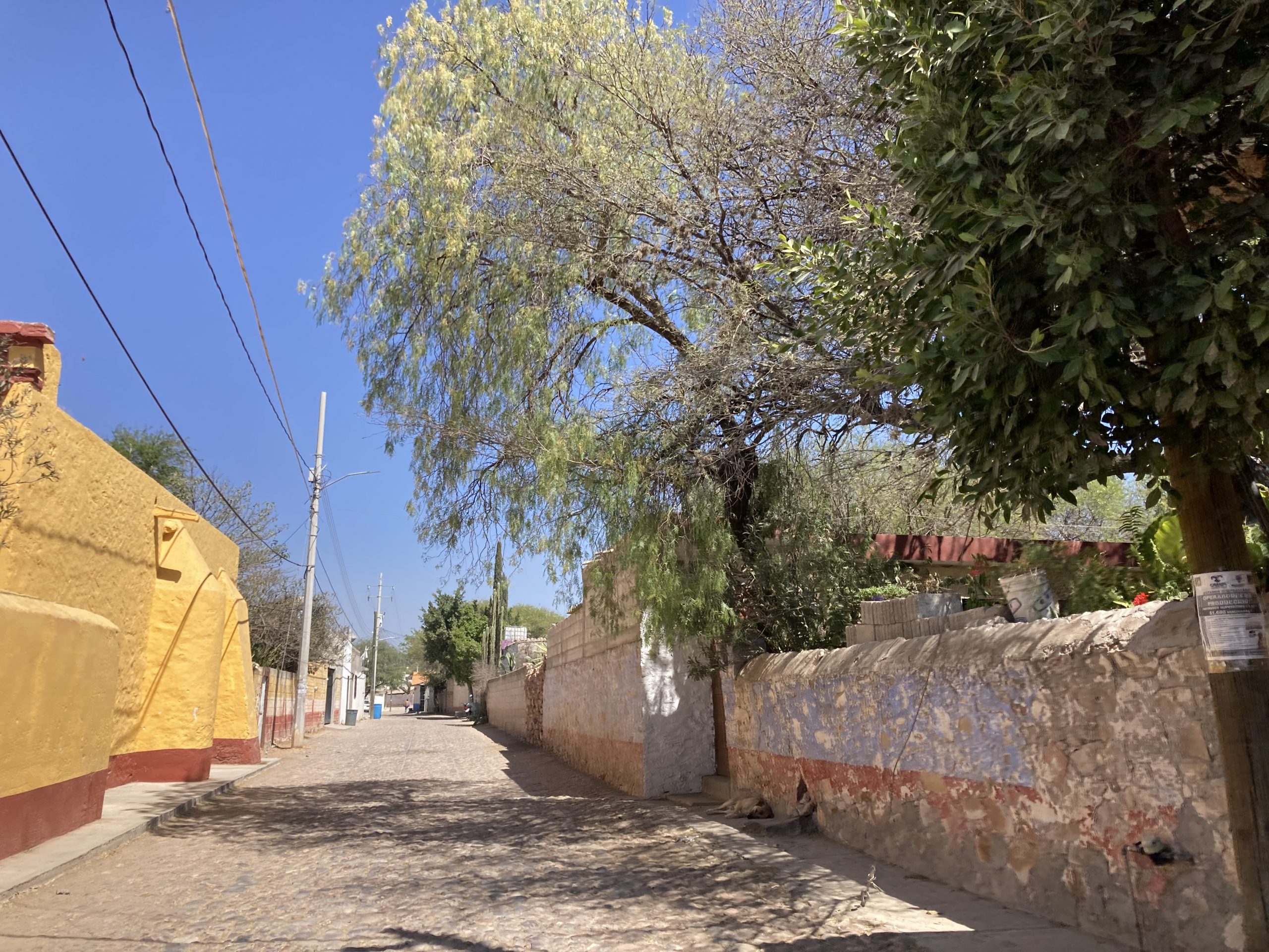 Lo asesinan a balazos en La Esperanza, Colón - Noticias de Querétaro