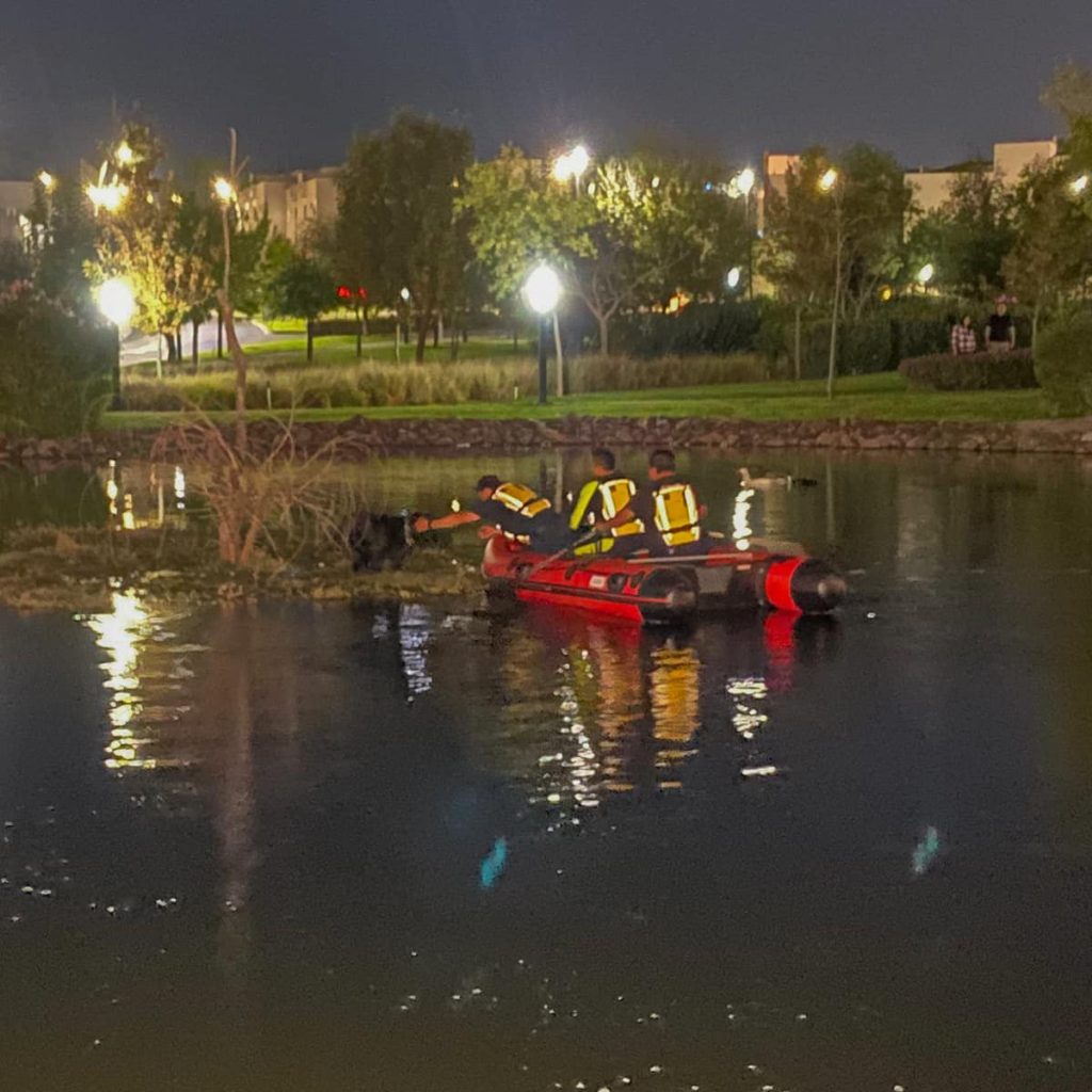 Rescatan a perro en lago de Zizana, en el fraccionamiento Zakia ...