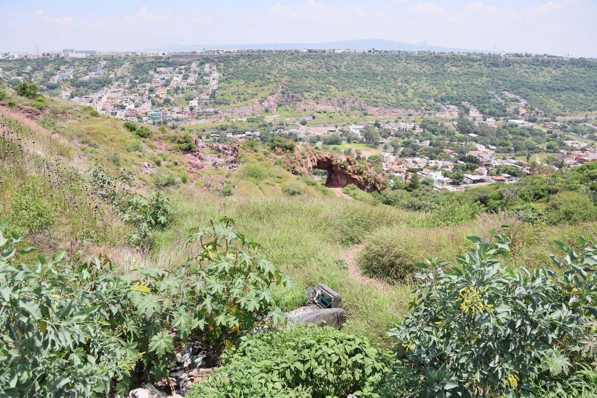 Denuncian Ambientalistas tala ilegal en la capital - Noticias de Querétaro