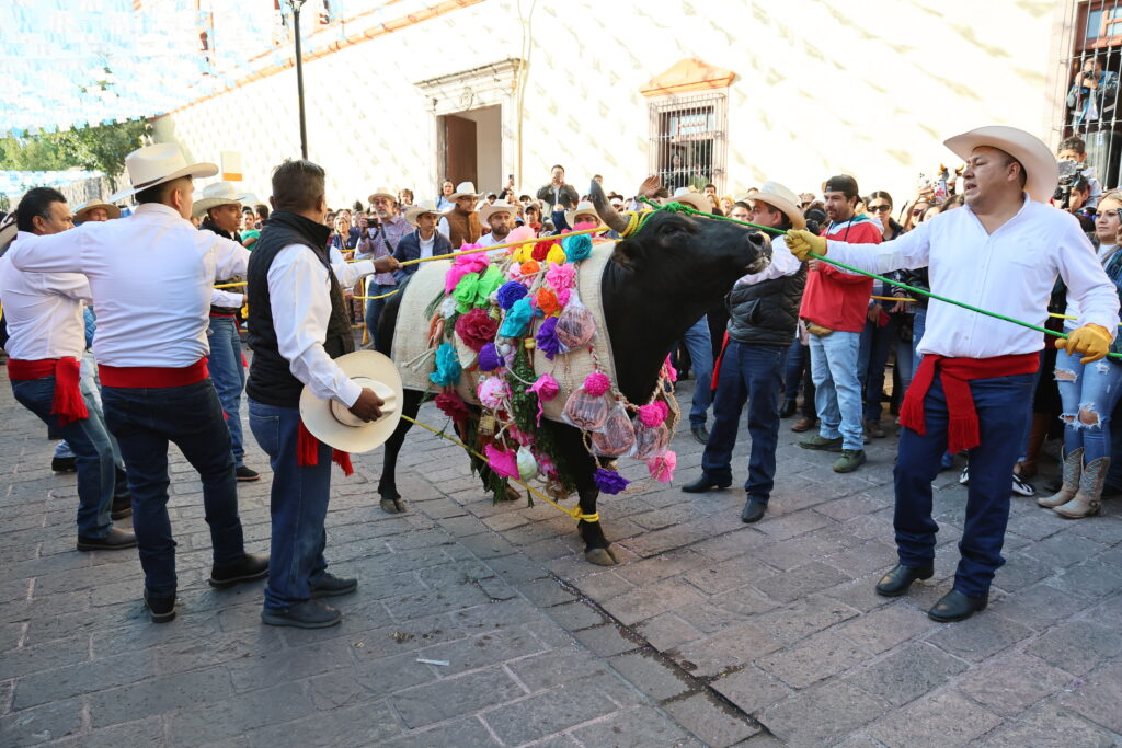 Realizan tradicional Paseo del Buey en El Pueblito - Noticias de Querétaro