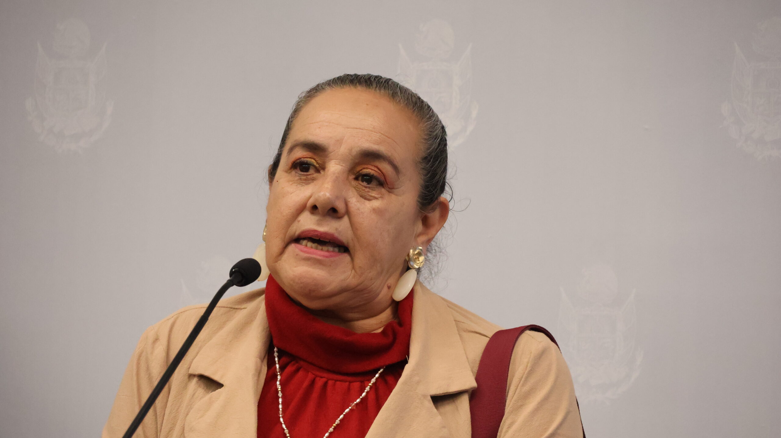 Respaldo total a Ernestina Godoy: Morena - Noticias de Querétaro