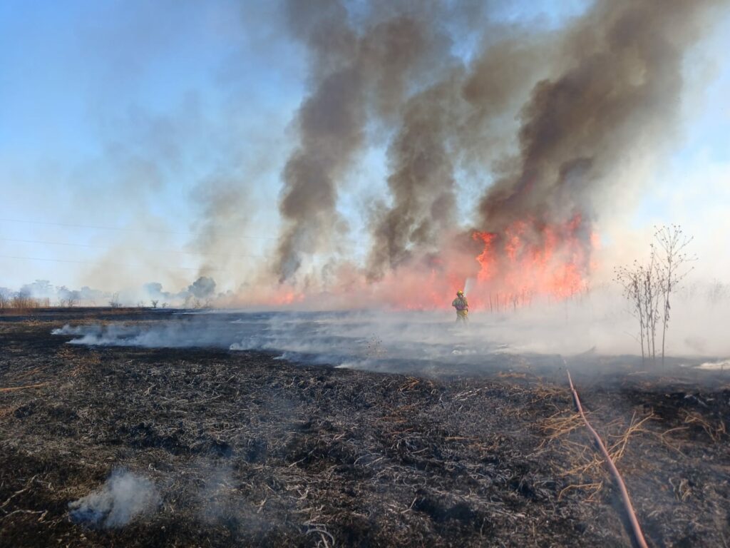 Incendio consumió unas 20 hectáreas de pastizal, en Ezequiel Montes ...