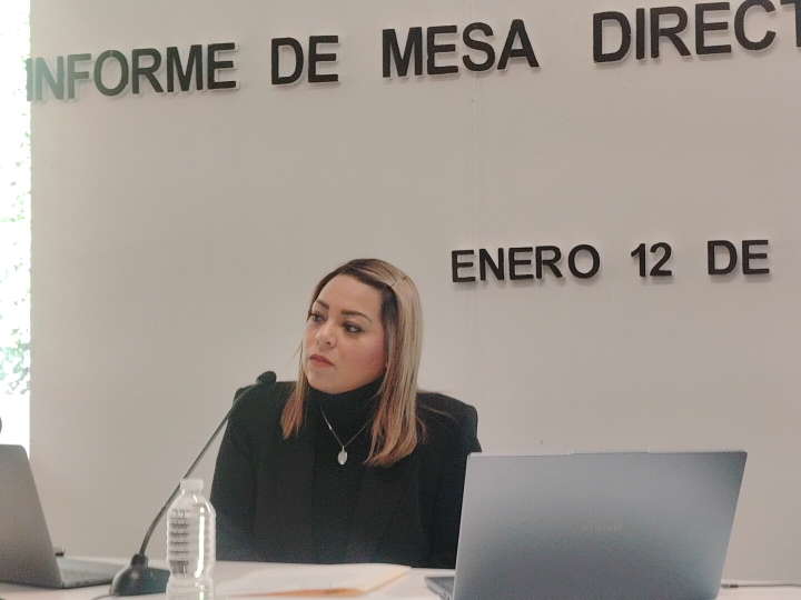 Comisiones Unidas para iniciativas más complicadas: Gina Guzmán ...