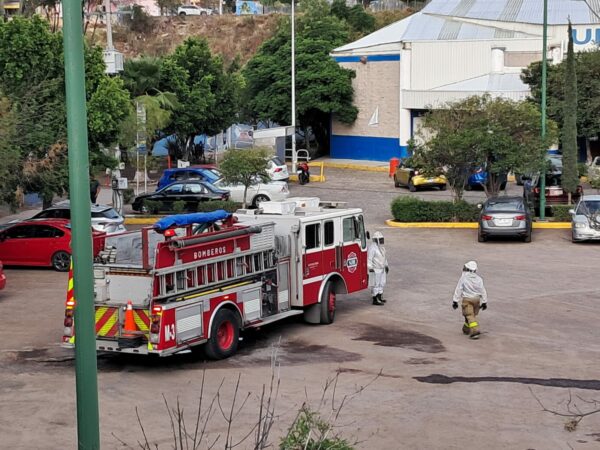 Mujer es trasladada al hospital tras ataque de abejas en unidad ...