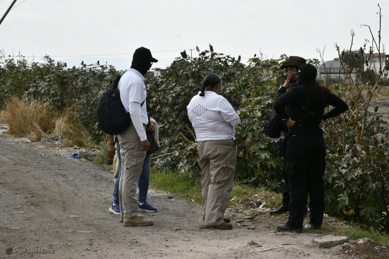Buscan a hombre desaparecido, en dren de Rancho Bellavista - Noticias ...