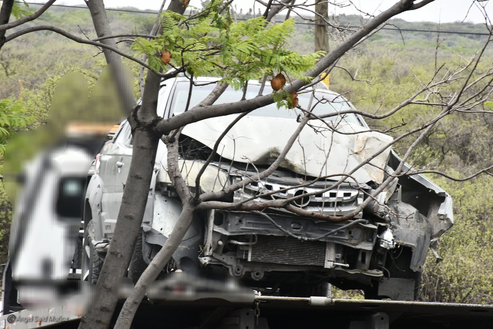 Camioneta se impacta con árboles al descender la estatal 400 - Noticias ...
