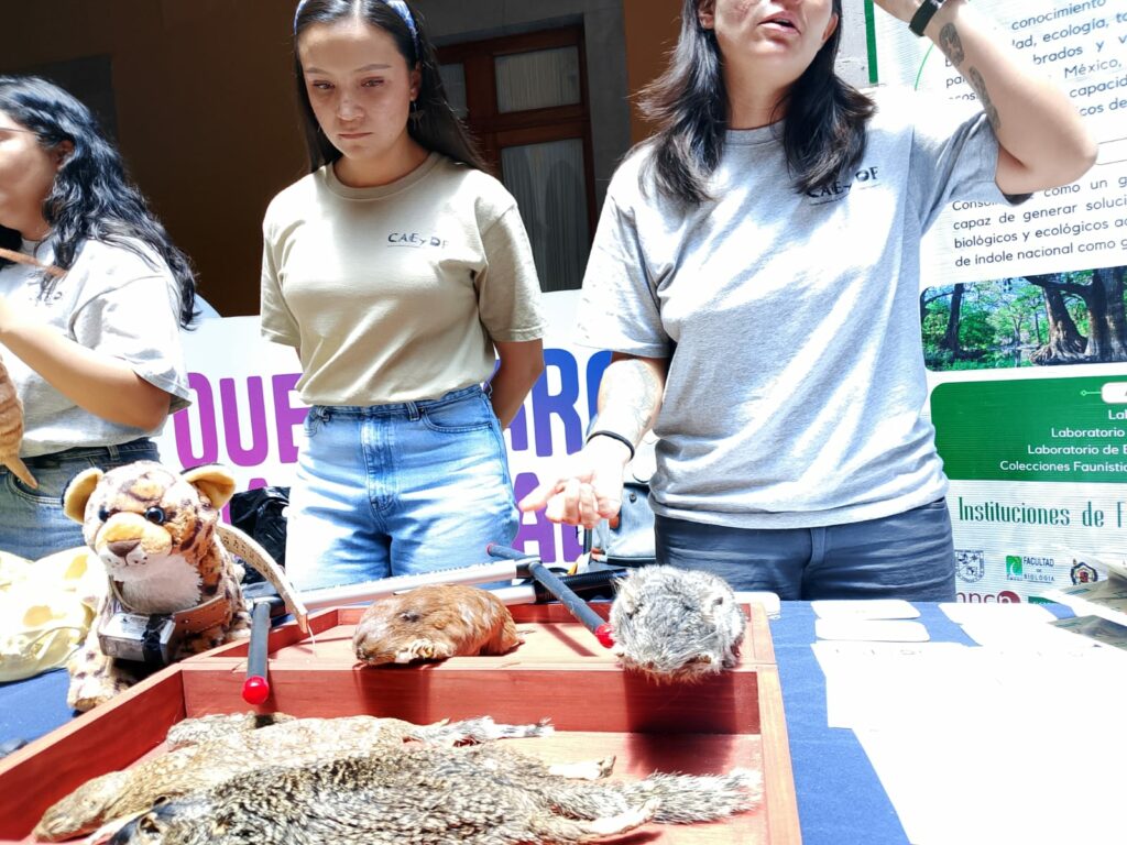 Promueven UAQ y Municipio de Querétaro las carreras STEM con Feria del ...